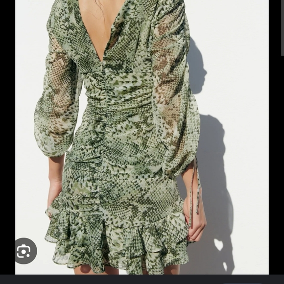 Zara | Dresses | Zara Green Chiffon Snakeskin Ruffled Mini Dress | Poshmark